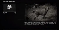 Dog (RDR2) | Red Dead Wiki | Fandom