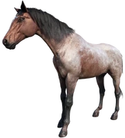 Morgan | Red Dead Wiki | Fandom