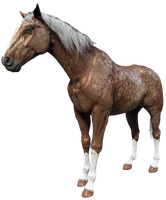 American Standardbred (RDR 2) | Red Dead Wiki | Fandom