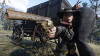 Bounty Hunter (Red Dead Online) | Red Dead Wiki | Fandom