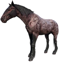 Sadie Adler | Red Dead Wiki | Fandom