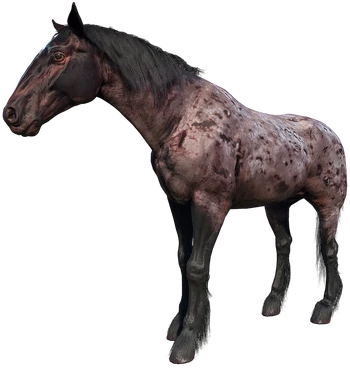 Hera | Red Dead Wiki | Fandom