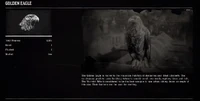 Eagle (RDR 2) | Red Dead Wiki | Fandom