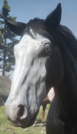 Baylock | Red Dead Wiki | Fandom