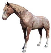 Tennessee Walker | Red Dead Wiki | Fandom