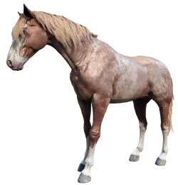 Tennessee Walker Tan
