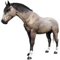 Criollo | Red Dead Wiki | Fandom