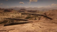 Dinosaur Bones | Red Dead Wiki | Fandom