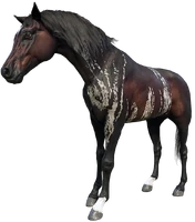 Arabian | Red Dead Wiki | Fandom