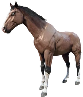 Sean MacGuire | Red Dead Wiki | Fandom