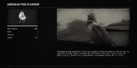 Sparrow | Red Dead Wiki | Fandom
