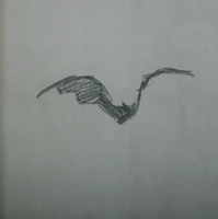 Bat (RDR 2) | Red Dead Wiki | Fandom