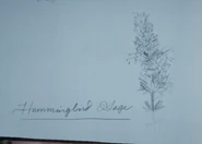Hummingbird Sage (RDR 2) | Red Dead Wiki | Fandom