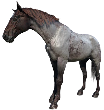 Dutch Warmblood (RDR 2) | Red Dead Wiki | Fandom