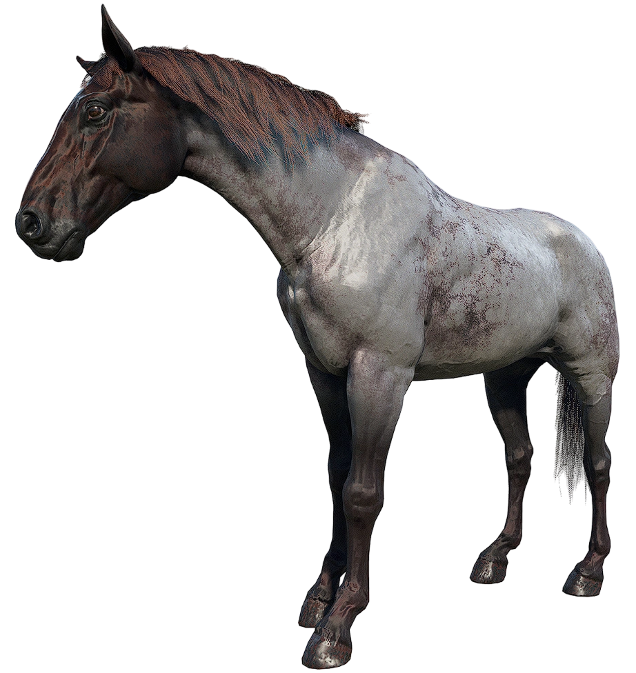 Dutch Warmblood (RDR 2) | Red Dead Wiki | Fandom