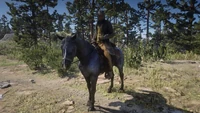 Rains Fall | Red Dead Wiki | Fandom