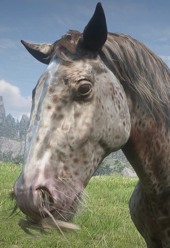 Nell IV | Red Dead Wiki | Fandom