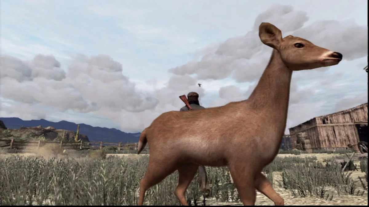 User blog:John marston jr.jack/hunting | Red Dead Wiki | Fandom