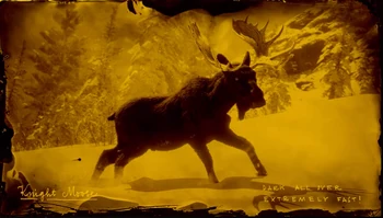 Legendary Knight Moose | Red Dead Wiki | Fandom