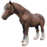 Breton | Red Dead Wiki | Fandom