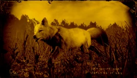 Legendary Ota Fox | Red Dead Wiki | Fandom