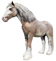 Gypsy Cob | Red Dead Wiki | Fandom