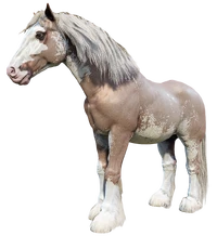Gypsy Cob | Red Dead Wiki | Fandom