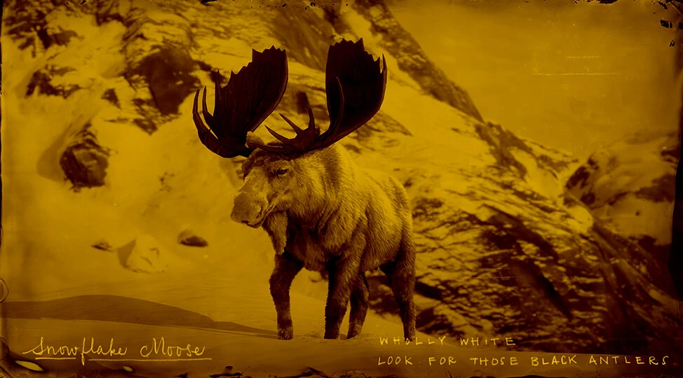 Legendary Snowflake Moose | Red Dead Wiki | Fandom