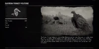 Vulture (RDR 2) | Red Dead Wiki | Fandom
