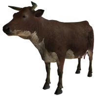 Cattle | Red Dead Wiki | Fandom