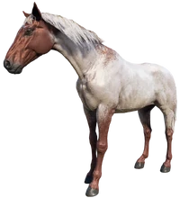 Kieran Duffy | Red Dead Wiki | Fandom