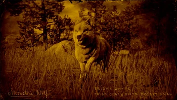 Legendary Moonstone Wolf | Red Dead Wiki | Fandom