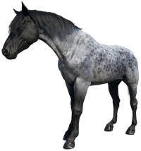 Nokota | Red Dead Wiki | Fandom