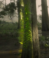 Vanilla Flower | Red Dead Wiki | Fandom