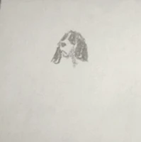 Dog (RDR2) | Red Dead Wiki | Fandom