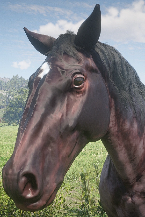 Hera | Red Dead Wiki | Fandom