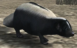 Skunk | Red Dead Wiki | Fandom
