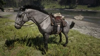 Mustang | Red Dead Wiki | Fandom