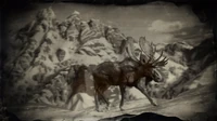 Moose | Red Dead Wiki | Fandom