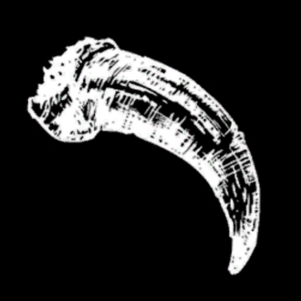 Undead Wolf Claw | Red Dead Wiki | Fandom