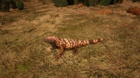 Gila Monster | Red Dead Wiki | Fandom