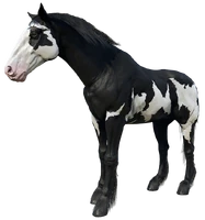 Mustang | Red Dead Wiki | Fandom