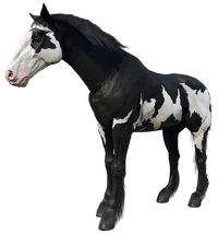 Mustang | Red Dead Wiki | Fandom