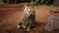 Cat | Red Dead Wiki | Fandom