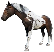 Norfolk Roadster | Red Dead Wiki | Fandom