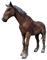 Belgian Draft Horse | Red Dead Wiki | Fandom