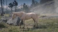 Buell | Red Dead Wiki | Fandom