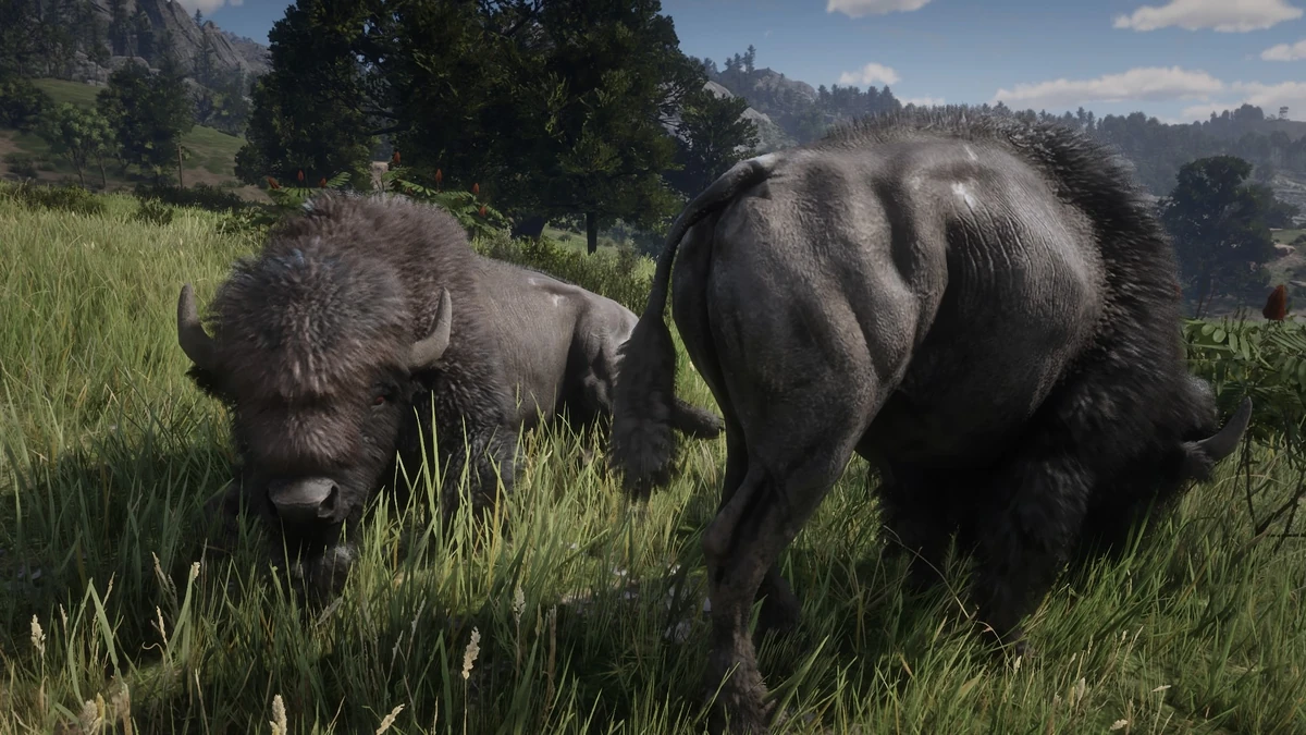 Bison | Red Dead Wiki | Fandom