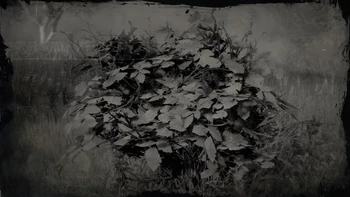 Blackberry | Red Dead Wiki | Fandom