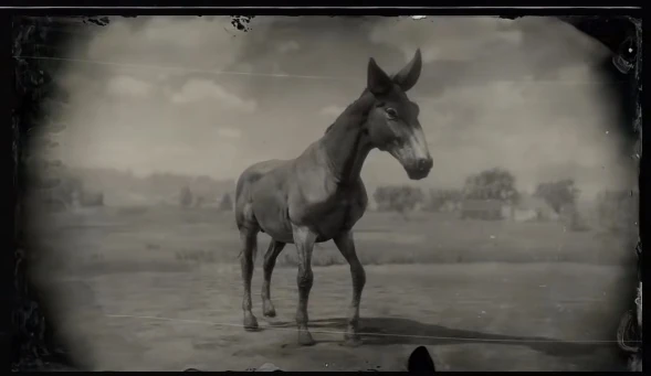 Mule (RDR2) | Red Dead Wiki | Fandom